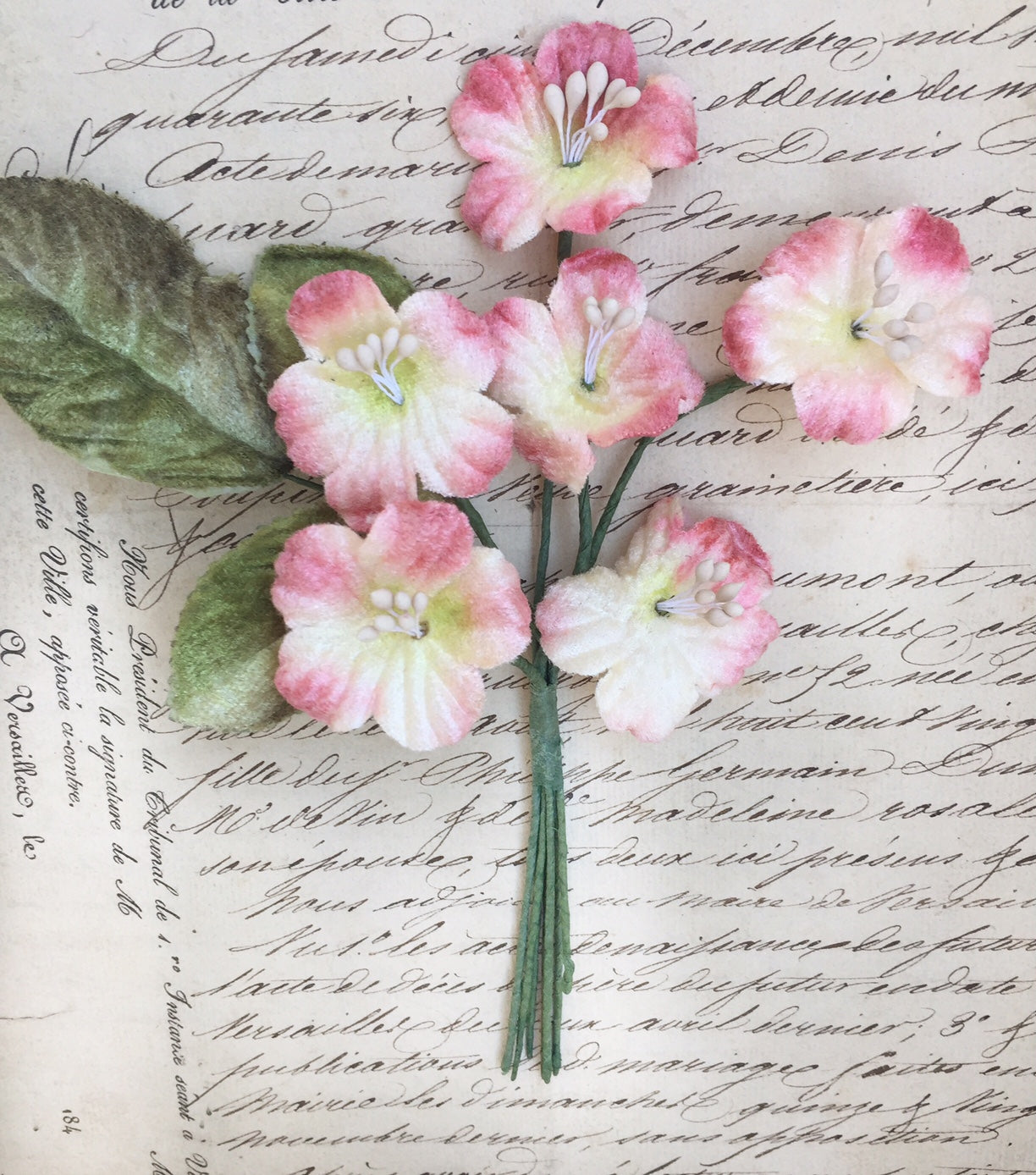 Primrose Posy. Vintage Pink – Miss Rose Sister Violet