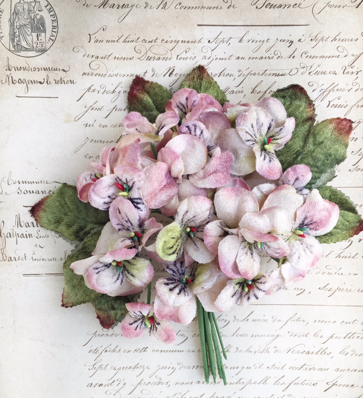 Flowers – Page 4 – Miss Rose Sister Violet